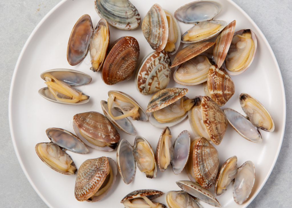 Nichirei Seafoods Inc.